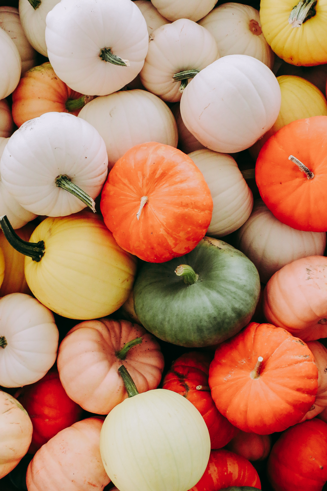 Lepp Farm Market | a year round farm market in Abbotsford