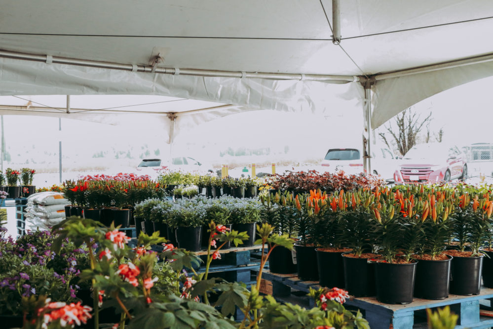 Plan Your Visit - Lepp Farm Market