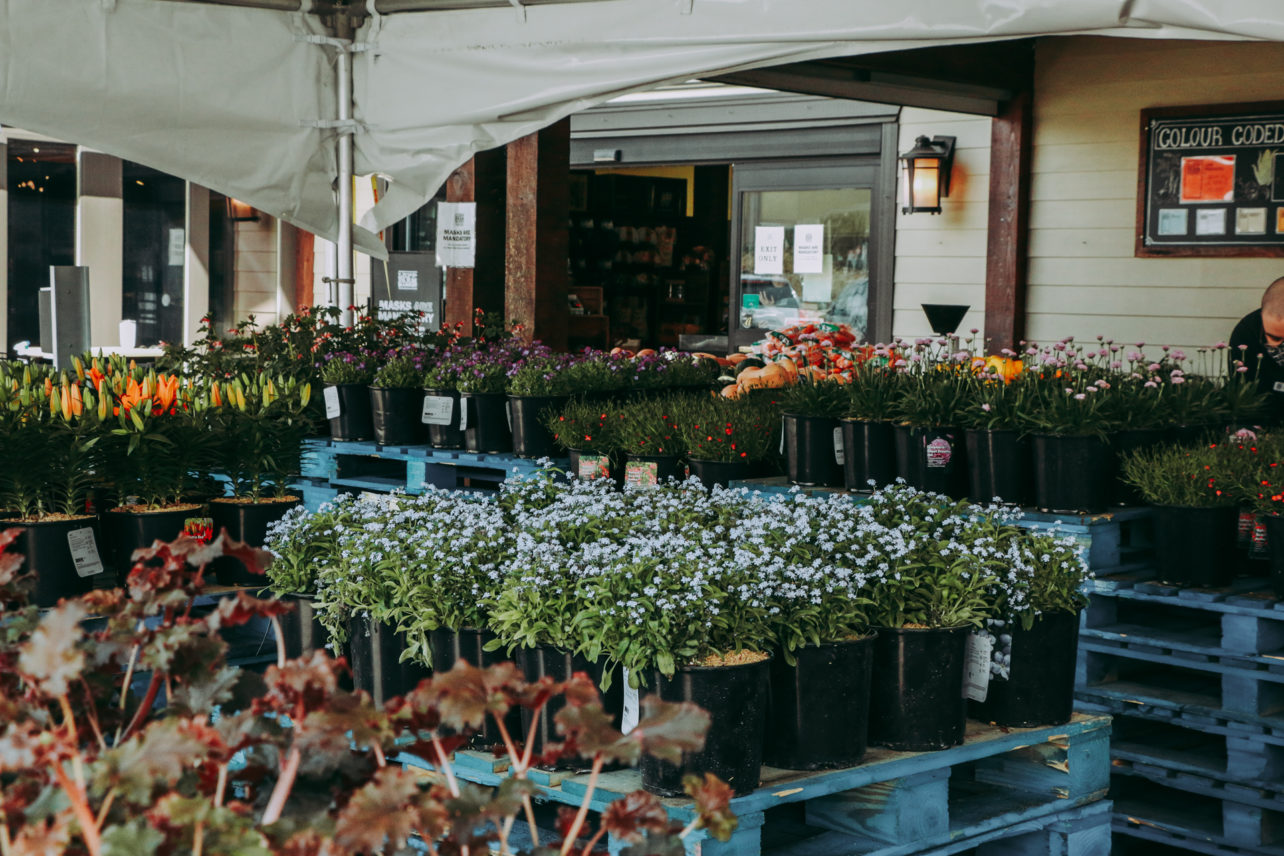 Plan Your Visit - Lepp Farm Market