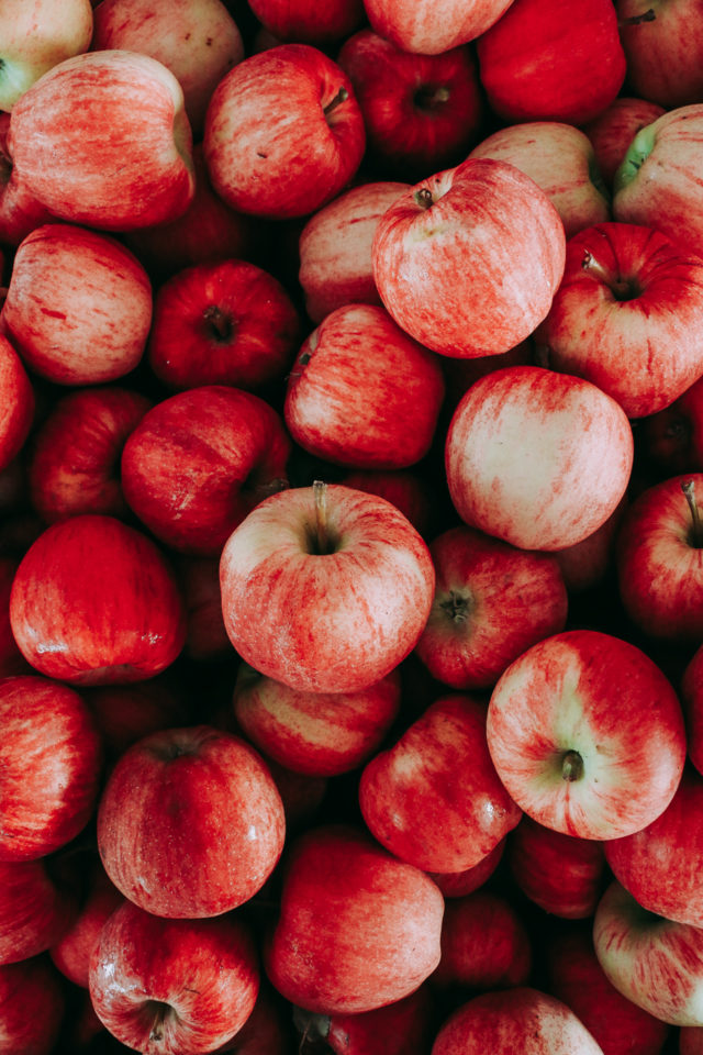 Features - Lepp Farm Market