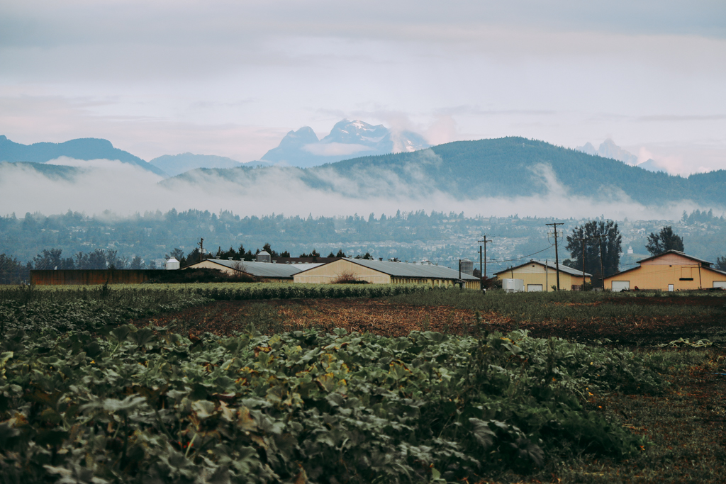 Lepp Farm Market | a year round farm market in Abbotsford