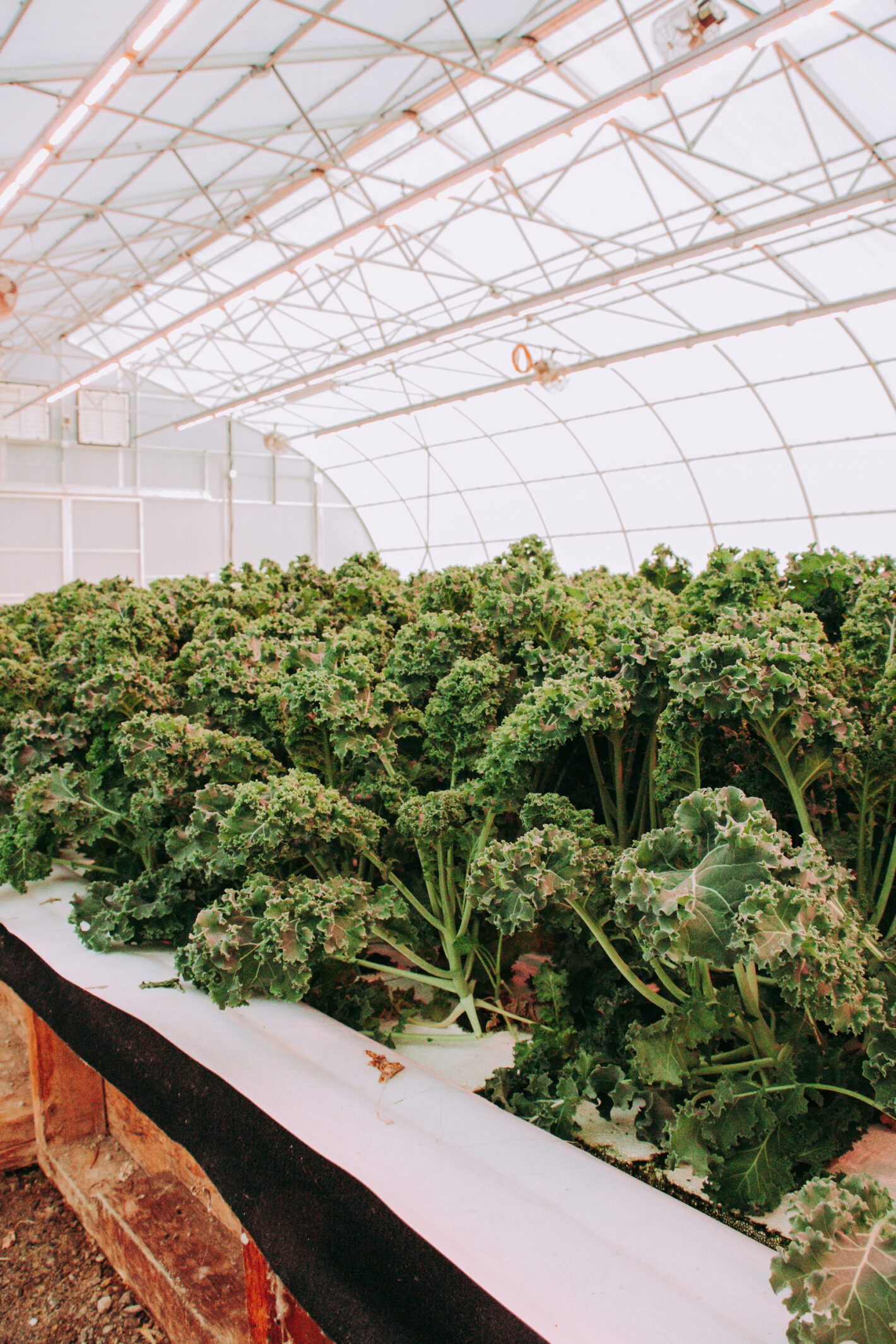 Features - Lepp Farm Market