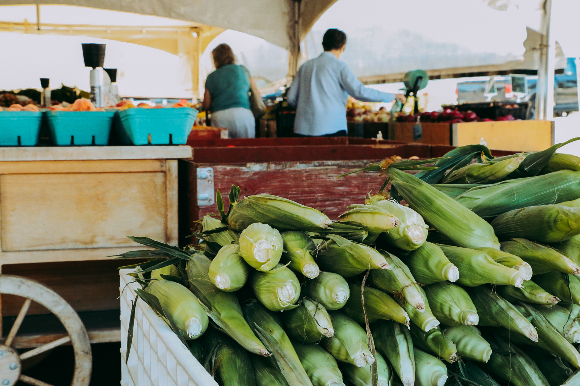 Plan Your Visit - Lepp Farm Market