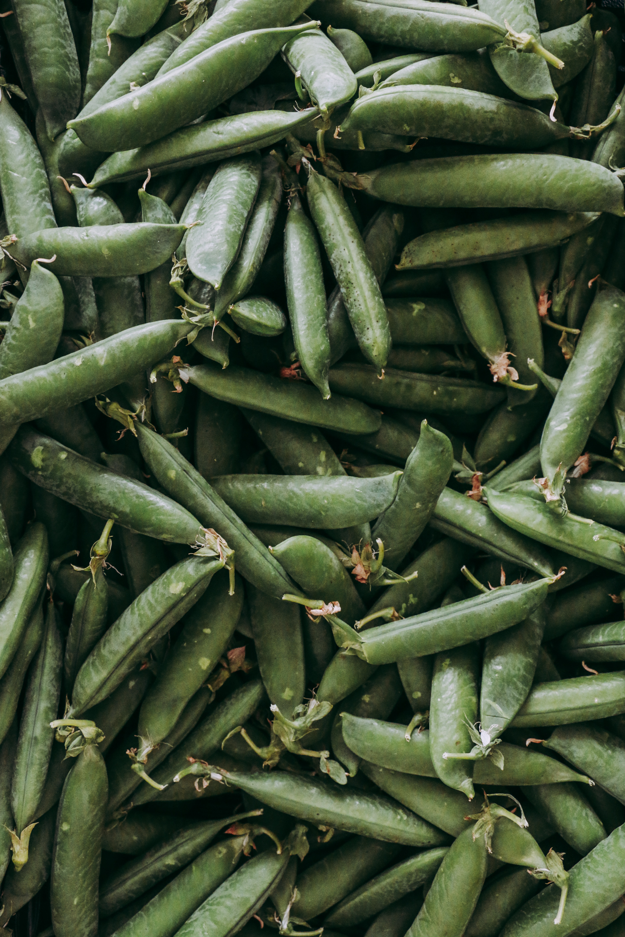 Features - Lepp Farm Market