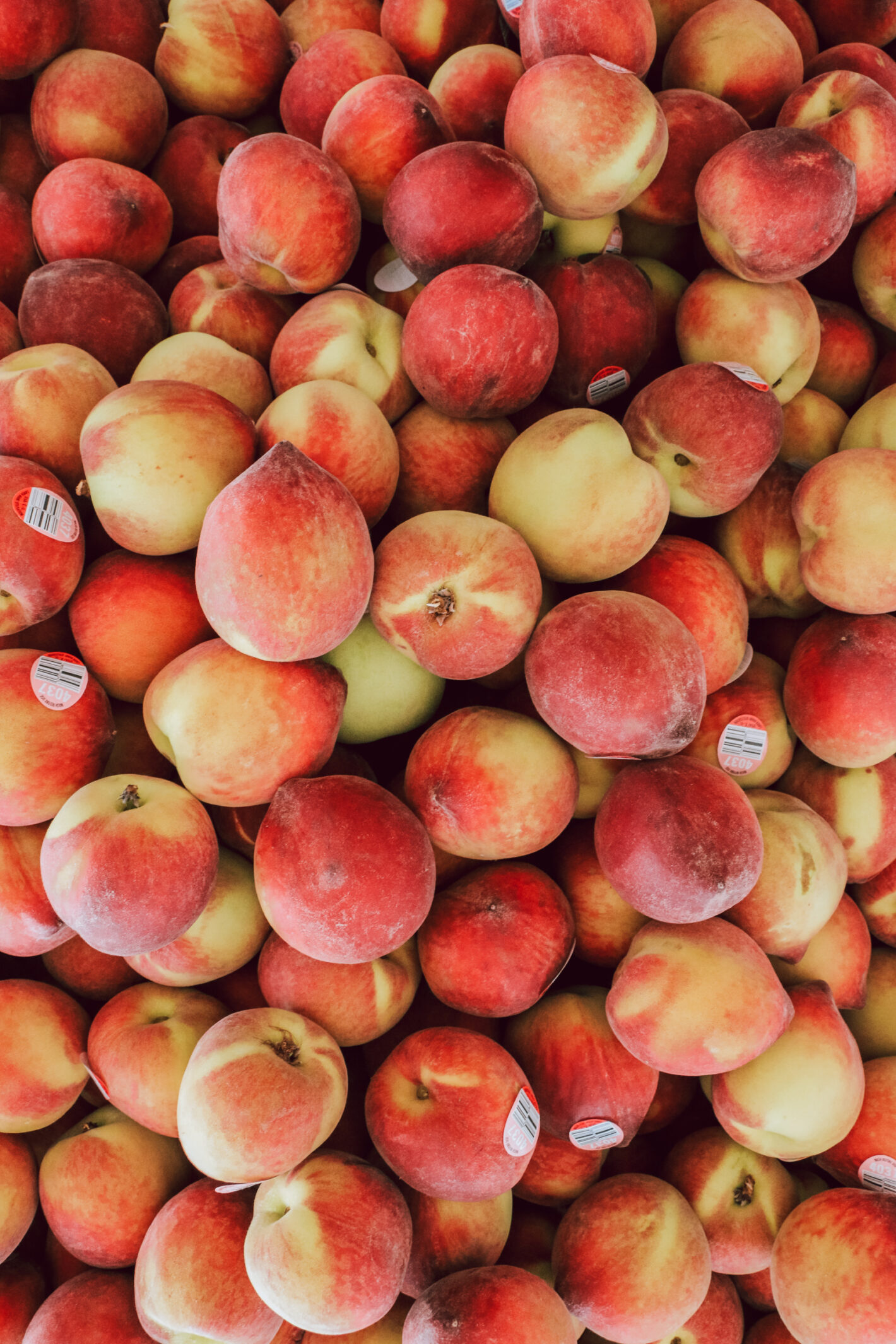 Features - Lepp Farm Market