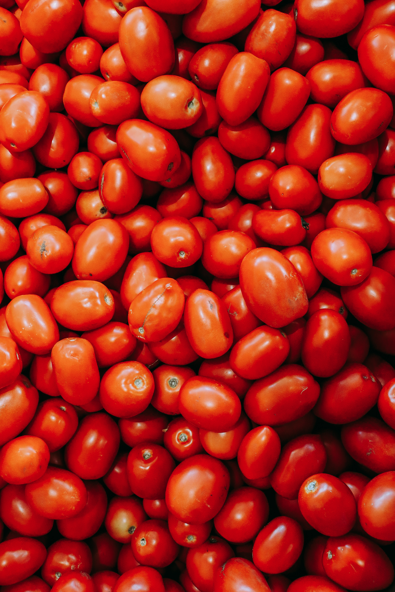 Features - Lepp Farm Market