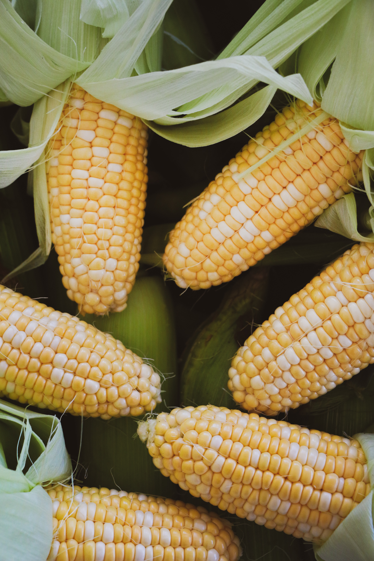 Features - Lepp Farm Market