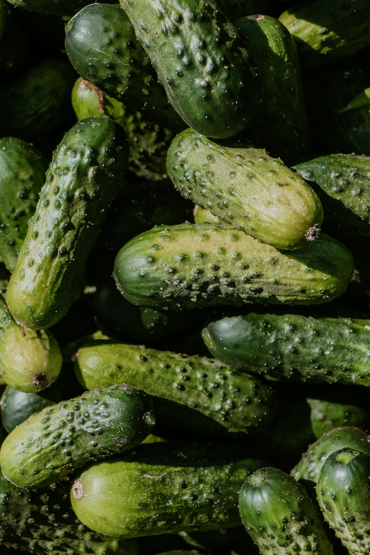 Features - Lepp Farm Market