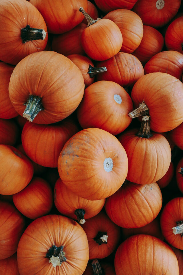 Features - Lepp Farm Market