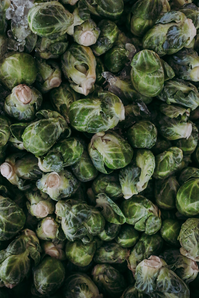 Features - Lepp Farm Market