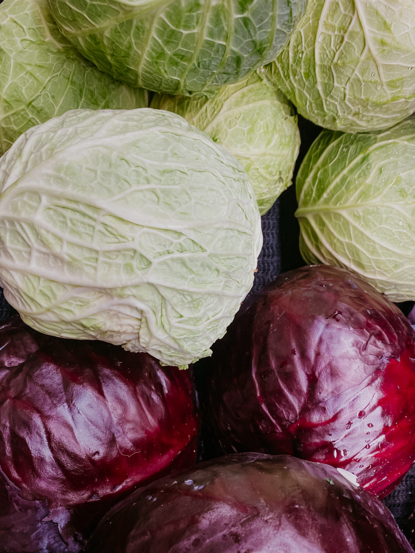 Features - Lepp Farm Market