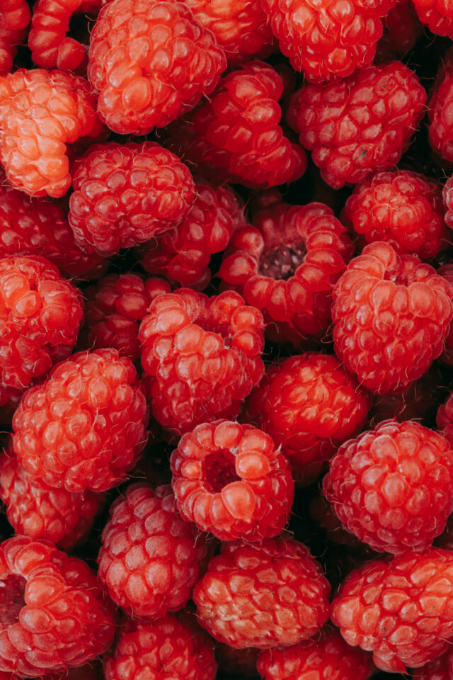 Features - Lepp Farm Market